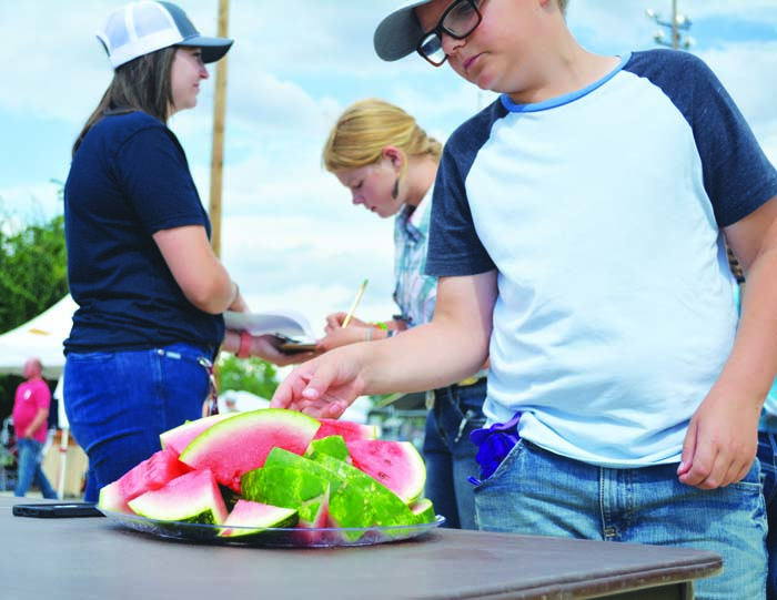 Seed-spitter licks the competition | Baker City Herald