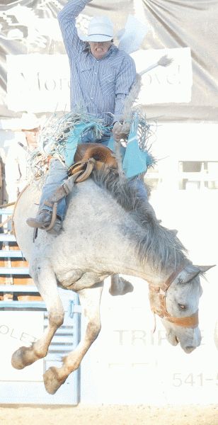 Broncs and bulls: “It’s money or mud” | Baker City Herald