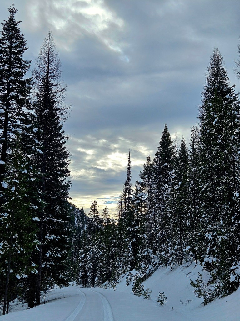 OUT AND ABOUT: A winter without snowshoes? | Baker City Herald