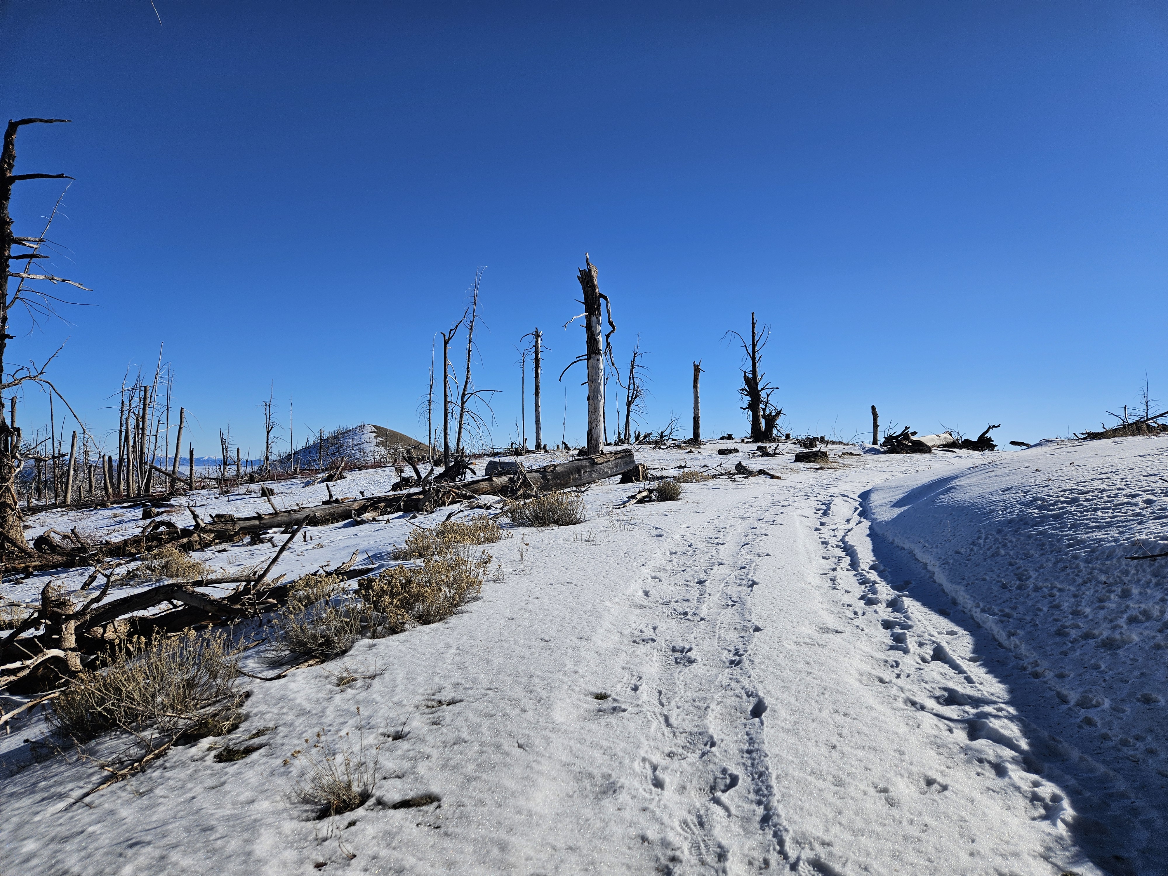 OUT AND ABOUT: A rare January day when the wind is refreshing | Baker ...