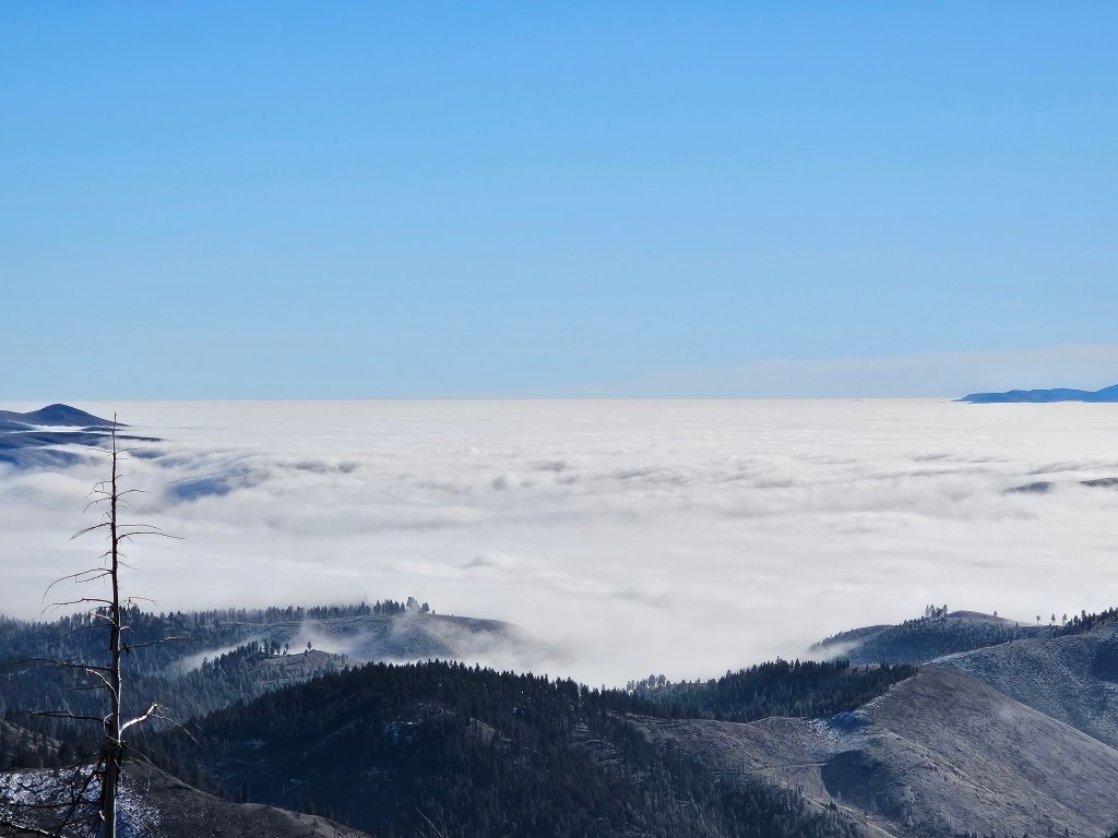 OUT AND ABOUT: A rare January day when the wind is refreshing | Baker ...